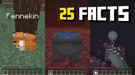25 Minecraft Facts YOU Didn T Know YouTube