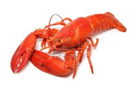 10 Foods To Eat Before Sex Artofit