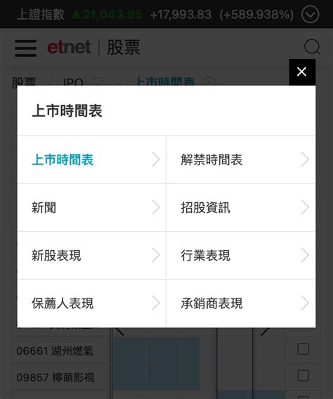什麼是IPO IPO概覽 新股 IPO 股票 投資百科 Wiki etnet 經濟通 香港新聞財經資訊和生活平台