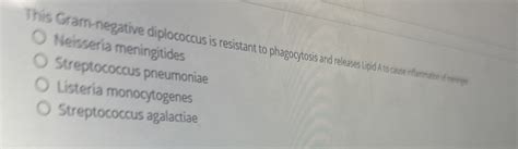 Solved This Gram Negative Diplococcus Is Resistant To