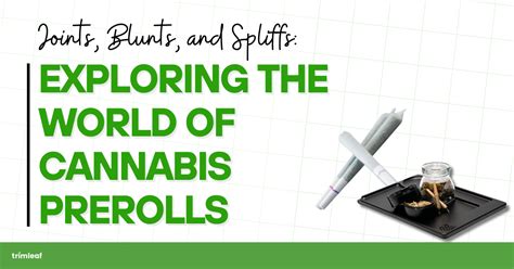 Joints Blunts And Spliffs Exploring The World Of Cannabis Prerolls