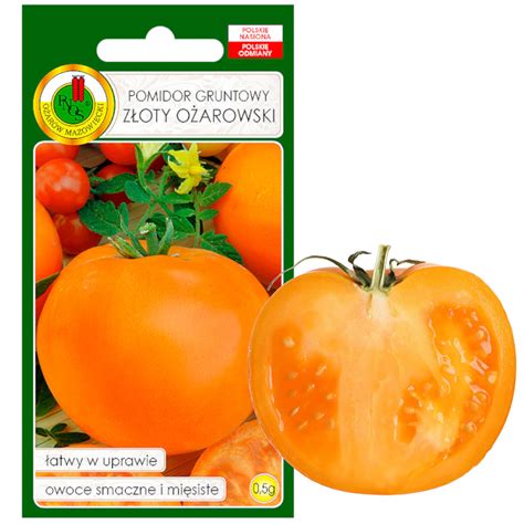 Pomidor Gruntowy Złoty Ożarowski Nasiona Bez Gmo 0 5G PNOS Sklep