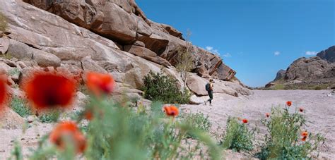 Understanding Different Types Of Plastering Materials And Their Uses Uk Edward Charlton