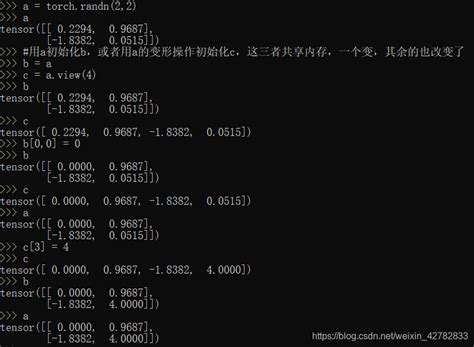 Pytorch基础：tensor的内存共享torch Tensor 什么时候共享内存 Csdn博客