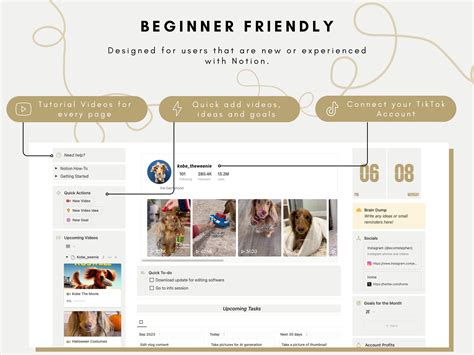 BOHO Tiktok Notion Template Minimal Content Planner For Notion