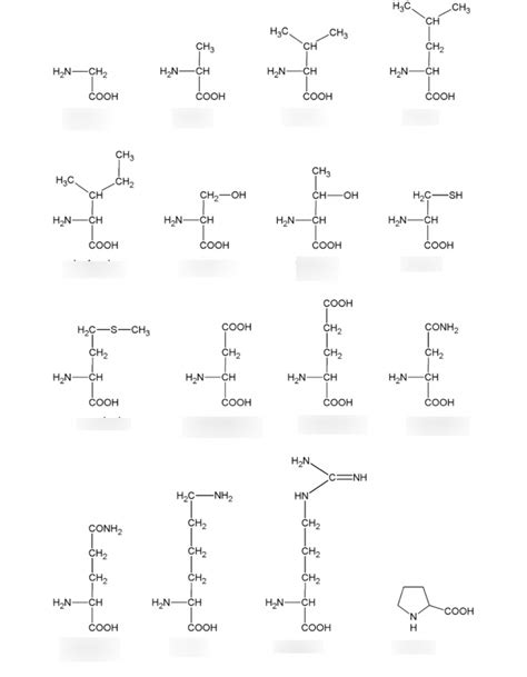 4 Diagram Quizlet