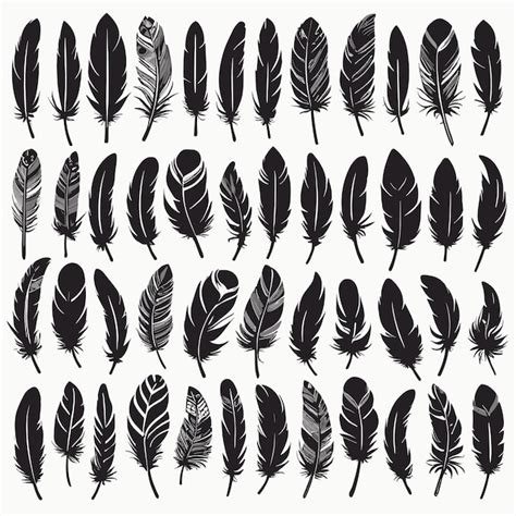 Conjunto De Silhueta De Penas Ilustra O Cole O De Vetores De Pena Vetor Premium