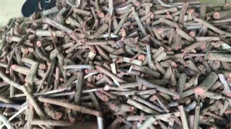 Rubia Cordifolia Brown Majith Packaging Type Loose At Rs 180 Kg In Guwahati