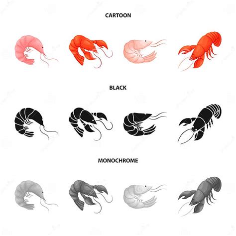 Ejemplo Del Vector Del Logotipo Del Aperitivo Y Del Océano Colección De