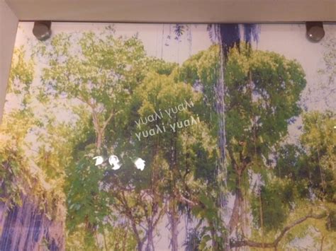 ΓΥΑΛΙΝΗ ΣΥΡΟΜΕΝΗ ΠΟΡΤΑ ΜΕ ΕΚΤΥΠΩΣΗ Τζάμια Καθρέπτες γυαλί γυαλί