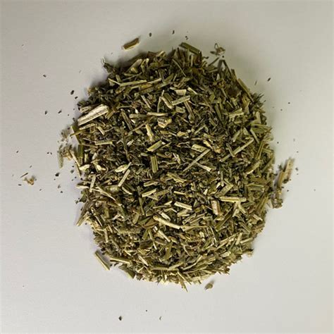 Catnip 15g Buddys Bites Uk