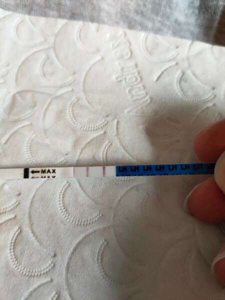 Positive Ovulation Test Mumsnet