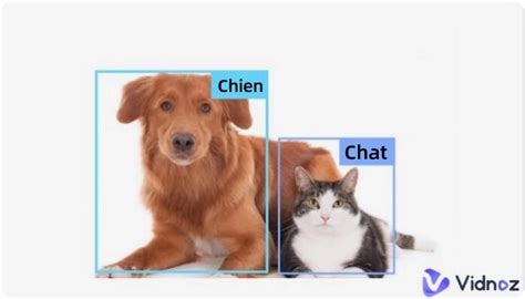 Reconnaissance Dimage Par Ia Principes Et Applications