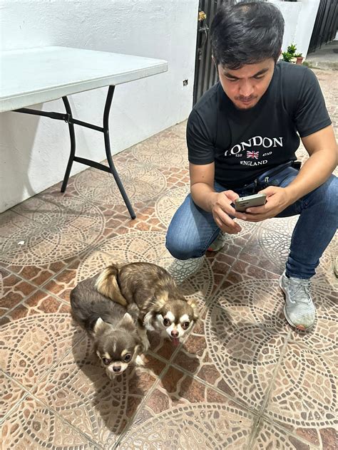 Flurry Paws Cebu Cebu City