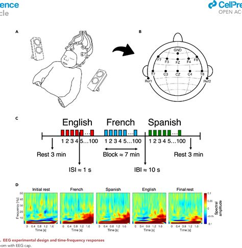 Figure 1 From Neural Oscillations And Speech Processing At Birth
