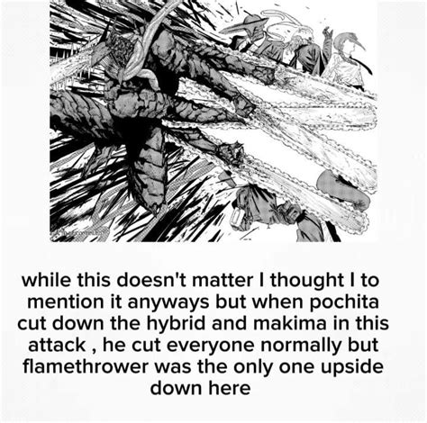 Some Interesting Details About Flamethrower Hybrid Rchainsawman