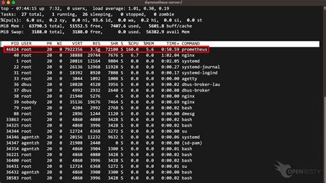 Pinpointing Cpu Hottest Go Code Paths Inside Prometheus Using Openresty Xray Openresty