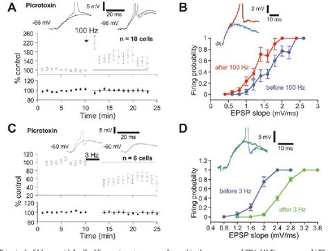 Regulation Of Excitatory Postsynaptic Membrane Potential Semantic Scholar