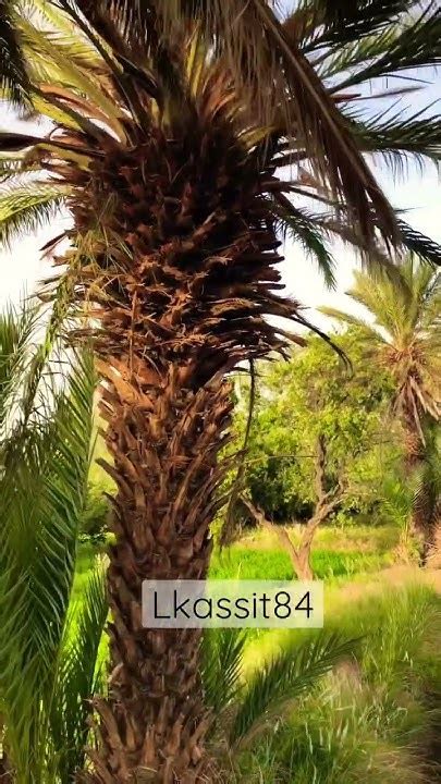 ورزازات صناعة اختراع Invention Industry Morocco ورزازات Amazing
