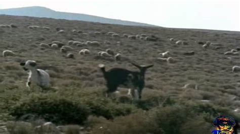 Η ΙΣΤΟΡΙΑ ΤΩΝ ΟΛΥΜΠΙΑΚΩΝ ΑΓΩΝΩΝ Youtube