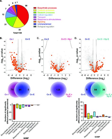 Fungal Proteome Signatures Upon Invasion Adaptation And Disruption Download Scientific