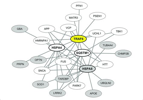 Mapping Of The Protein Protein Interaction Network Linking Common