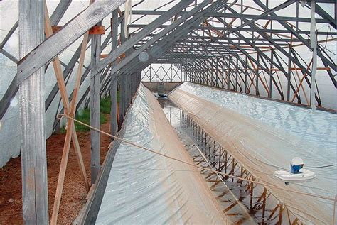 Bioreactor Technology For Tilapia Advances In Latin America