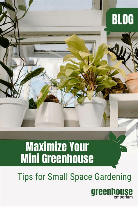 How To Use A Mini Greenhouse For Beginners Ultimate Guide