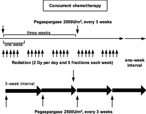 Concurrent Chemoradiotherapy Download Scientific Diagram