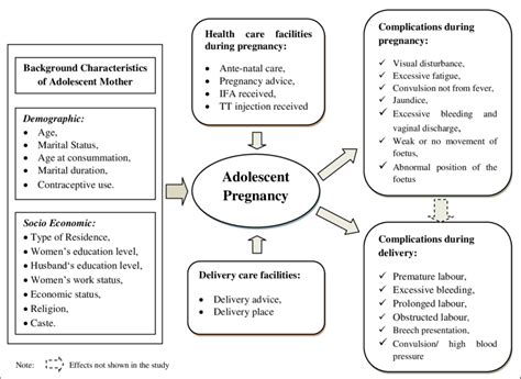 Conceptual Framework Download Scientific Diagram