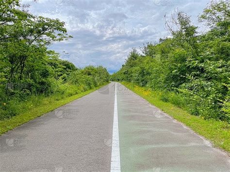 一条笔直的两旁有树的道路