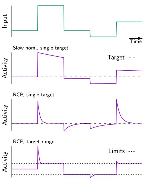 Special Issue Integrating Hebbian And Homeostatic Plasticity Zenke Lab