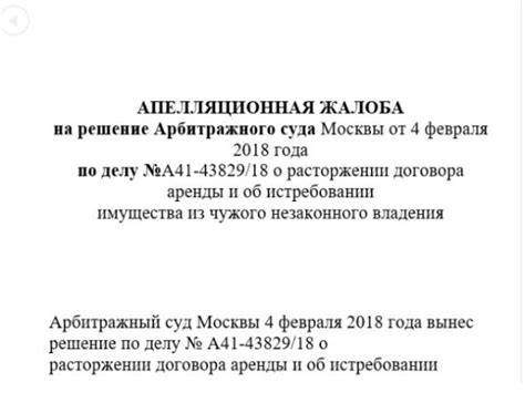 Краткая апелляционная жалоба