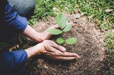 Quels moyens pour encourager les entreprises à investir dans la