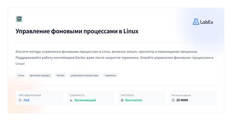 Управление фоновыми процессами в Linux Labex Управление фоновыми процессами в Linux Labex