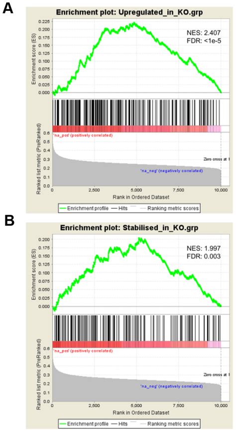 Validation Of Zfp36 Target Genes Inferred From Mic Analysis Of