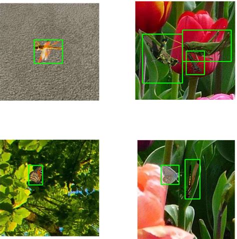 Figure 1 From Integrated Deep Learning Framework For Insect Detection