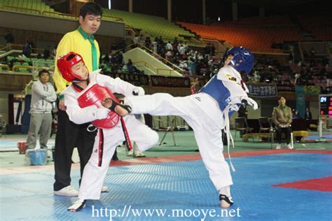 경기도태권도협회 경기도 교육감기 ‘성료 무예신문 대한민국 대표 무예체육뉴스