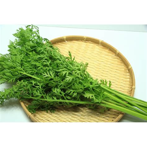 【拈花微笑】山茼蒿｜種子｜10g｜非基因改造種子｜蔬菜｜蔬果｜有機無毒｜高發芽率 蝦皮購物