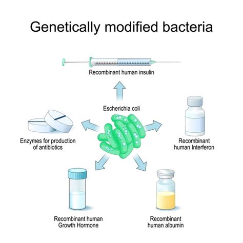 20 Antibiotics Resistance E Coli Stock Vectors And Vector Art
