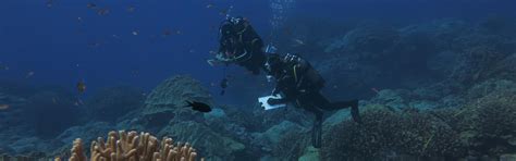 A New Method To Assess Ecosystem Vulnerability And Protect Biodiversity Site Web Ird