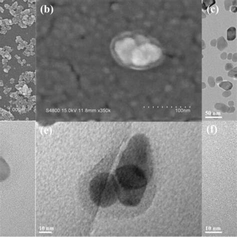 Schematic Illustration Of Core Shell Structured Bst Hbpi Download Scientific Diagram