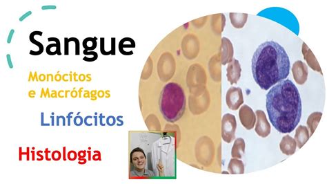 Linfocitos Y Monocitos