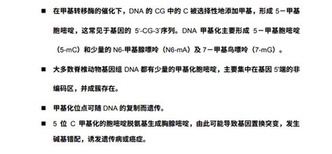 小白也能做机制研究双荧光报告基因实验ChIP组蛋白修饰手把手教你细胞实验 检测 抗体 通路