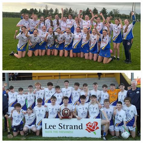 Calling All Businesses Support Tralee Parnells Hurling And Camogie Teams To Help With Our Féile