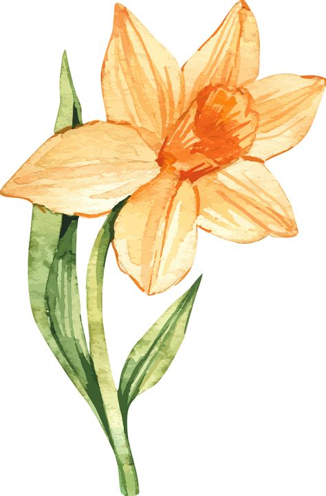 Orange Color Flower Shape Clipart Vector