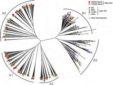 N Terminal Domain Types Clustering Of N Terminal Domain Types Of Download Scientific Diagram