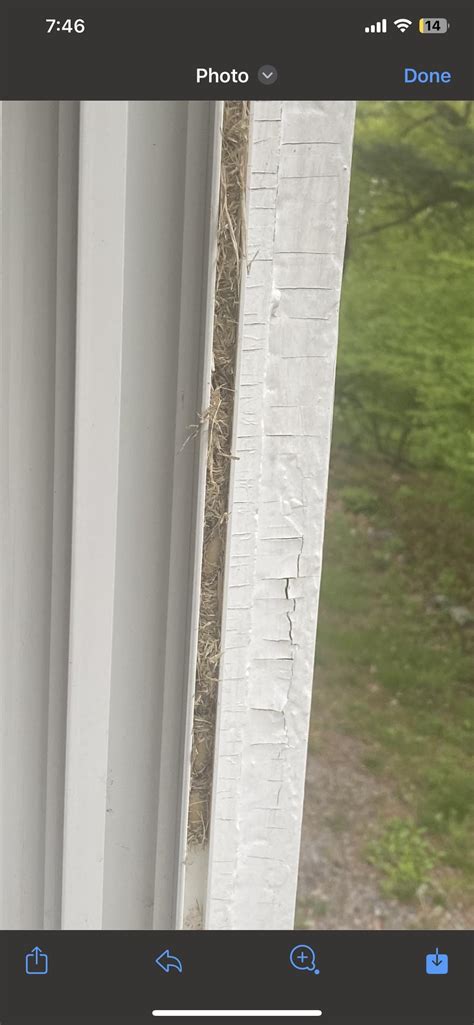 Larvae Id Request Rbugidentification