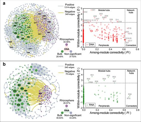 Co Occurrence Network Analysis Of The Resident A And Active B