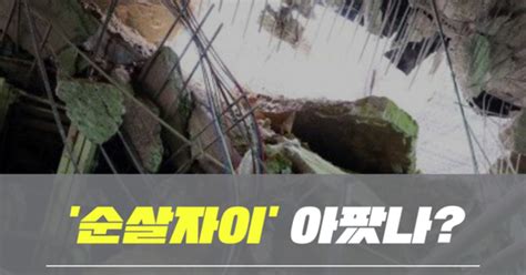 숏폼 순살자이 아팠나 Gs건설 검단 1666세대 전면 재시공